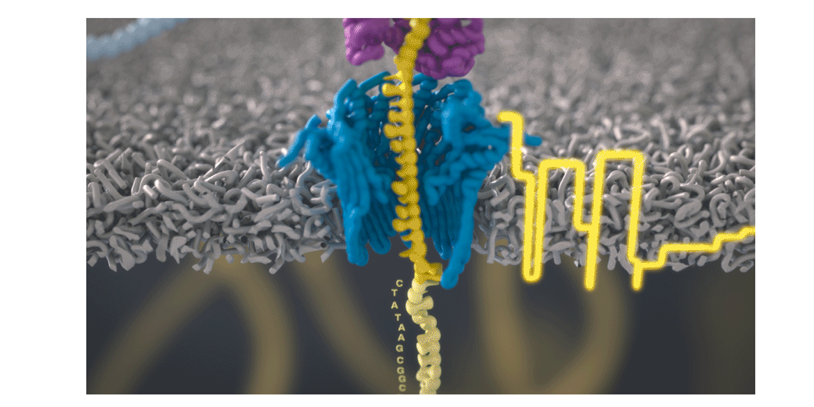 Usb Dna Sequencing Technology Science And Other News