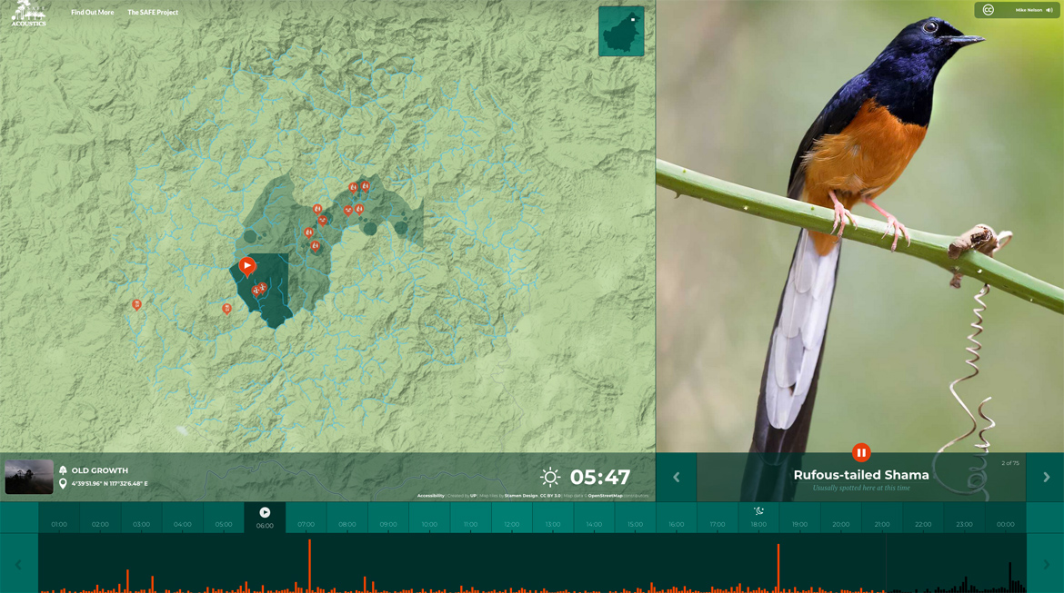 Rainforest Sound AI Detection | - Technology, Science & Other News