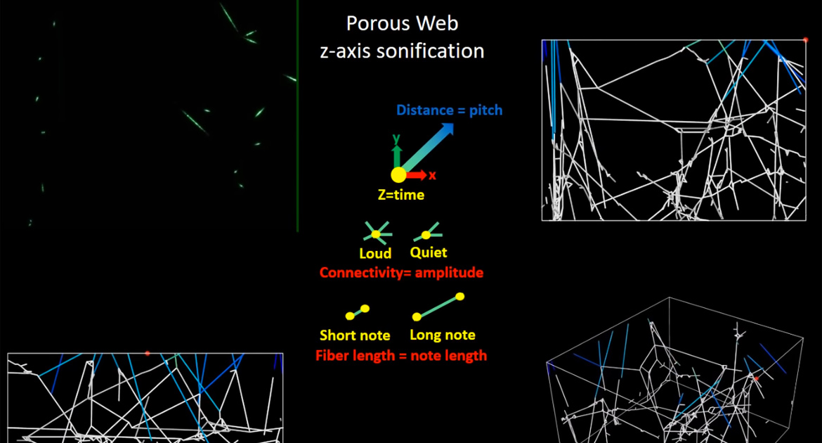 Spider Web Music | - Technology, Science & Other News